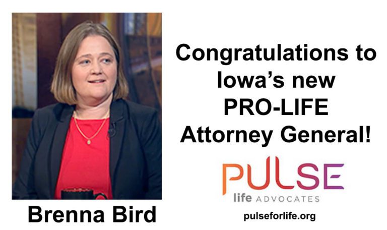 Brenna Bird defeats incumbent Tom Miller for Iowa AG | Pulse Life